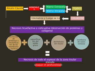 Intoxicación por Cáusticos-Fisiopatología | PPTX