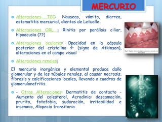 Intoxicacion por metales mercurio plomo y arsenico | PPTX