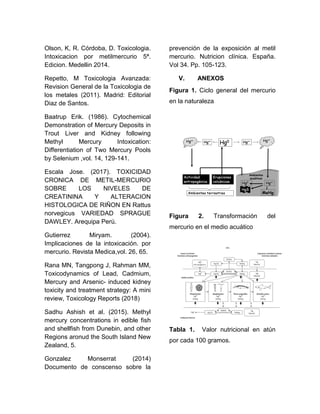 Intoxicación por metil mercurio en atún enlatado | PDF