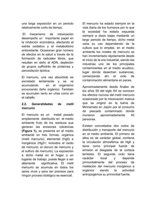 Intoxicación por metil mercurio en atún enlatado | PDF