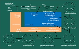 Intoxicacion por plomo | PPTX