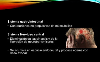 Intoxicacion por plomo | PPTX