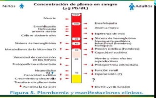 Intoxicacion por plomo | PPTX