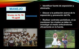 Intoxicacion por plomo | PPTX