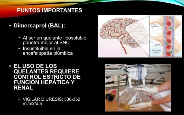 Intoxicacion por plomo | PPTX