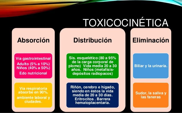 Intoxicacion por plomo