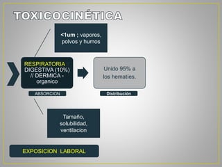 INTOXICACION POR PLOMO O SATURNISMO pptx | PPTX