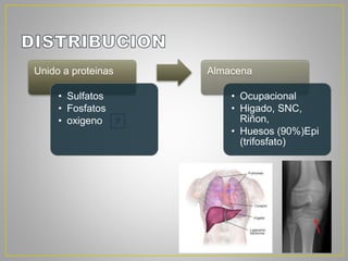 INTOXICACION POR PLOMO O SATURNISMO pptx | PPTX