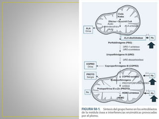 INTOXICACION POR PLOMO O SATURNISMO pptx | PPTX