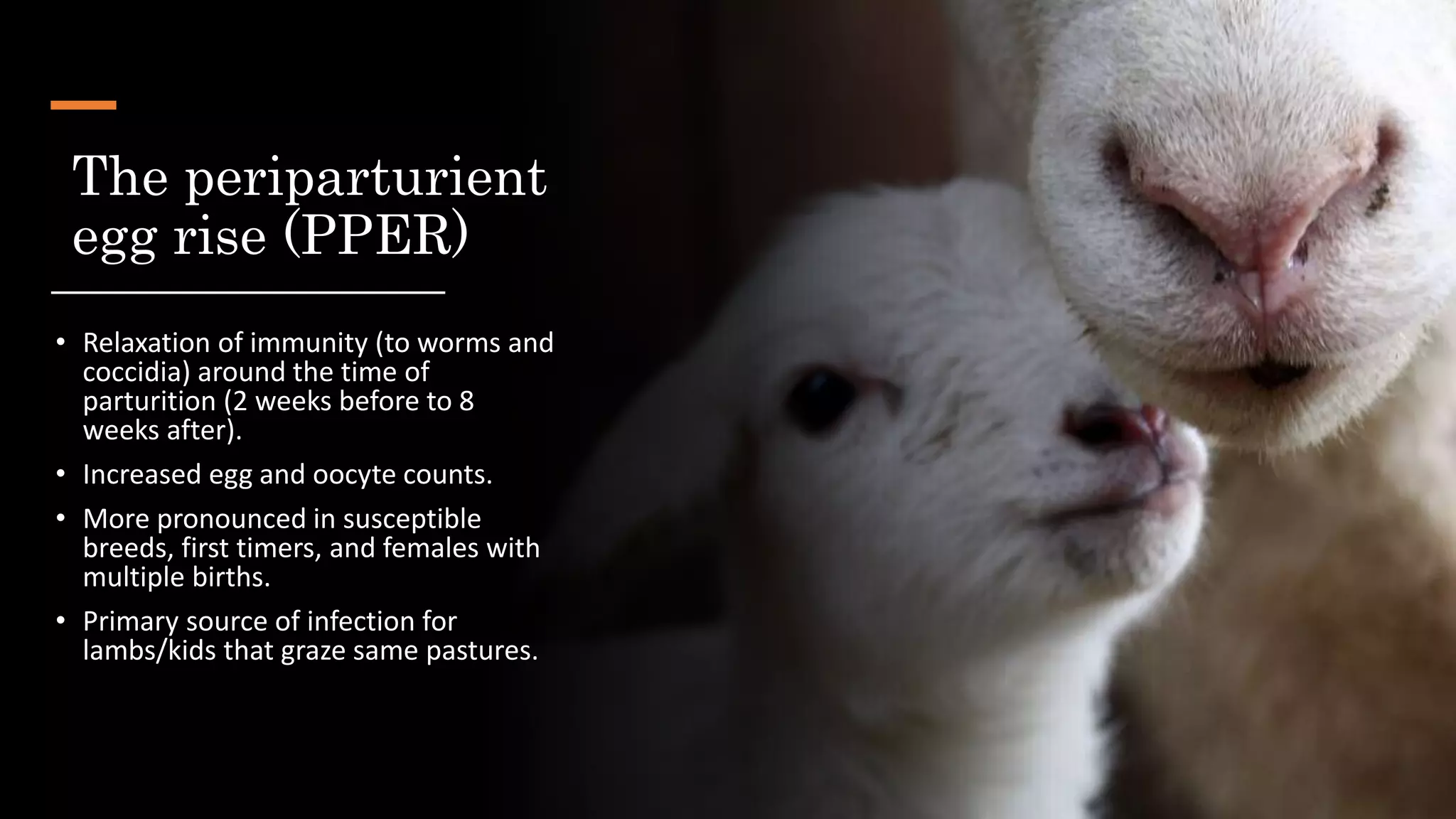 Management of Internal Parasites in Small Ruminants | PPTX