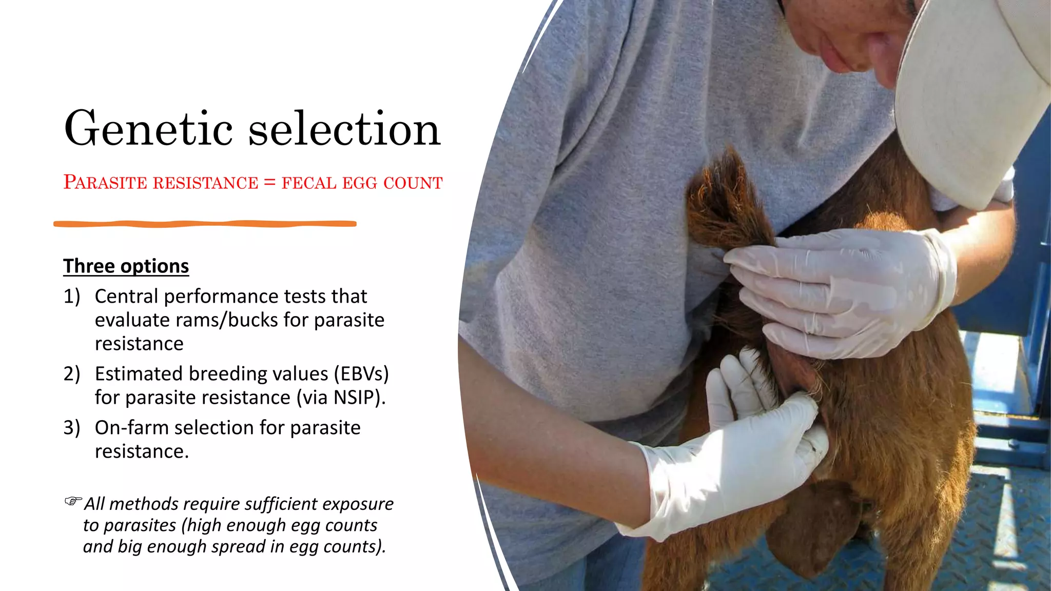 Management of Internal Parasites in Small Ruminants | PPTX