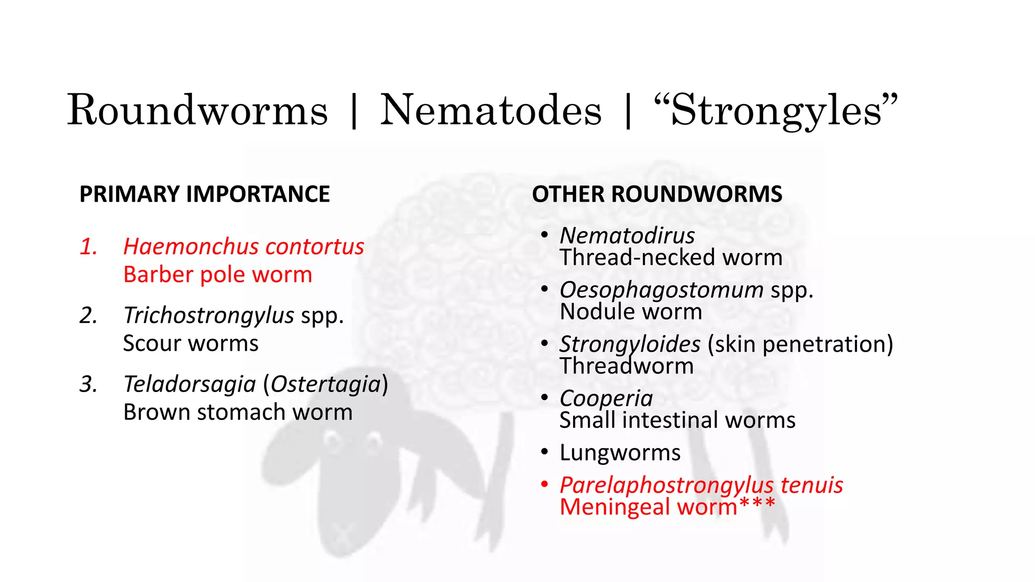 Management of Internal Parasites in Small Ruminants | PPTX