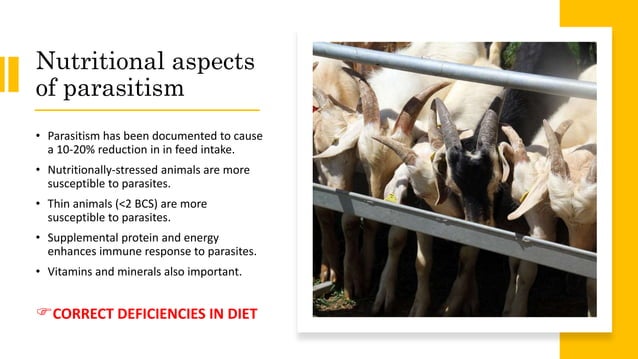 Management of Internal Parasites in Small Ruminants | PPTX | Infectious ...