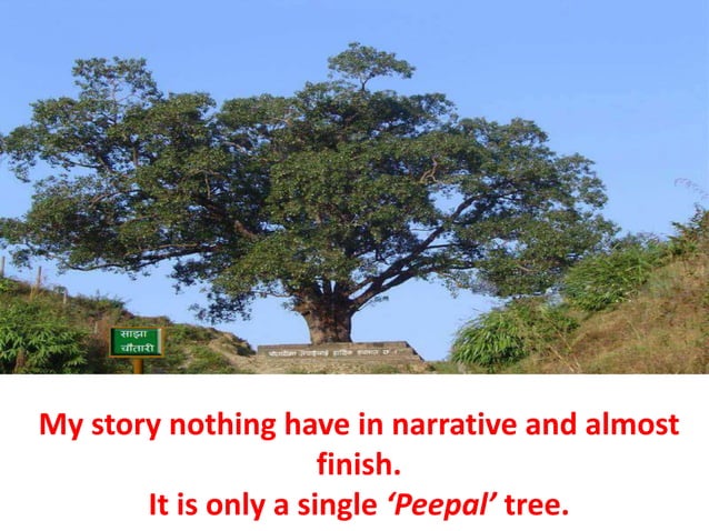 A multidisciplinary way of analysis "Peepal Tree" | PPTX