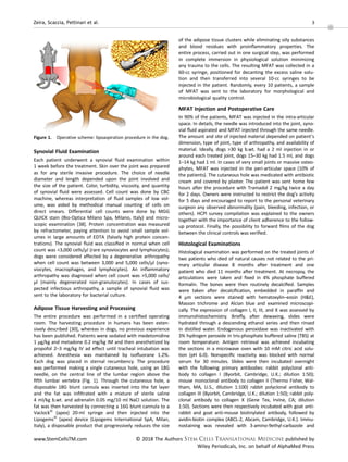 Intra-Articular Administration of Autologous Micro-Fragmented Adipose ...