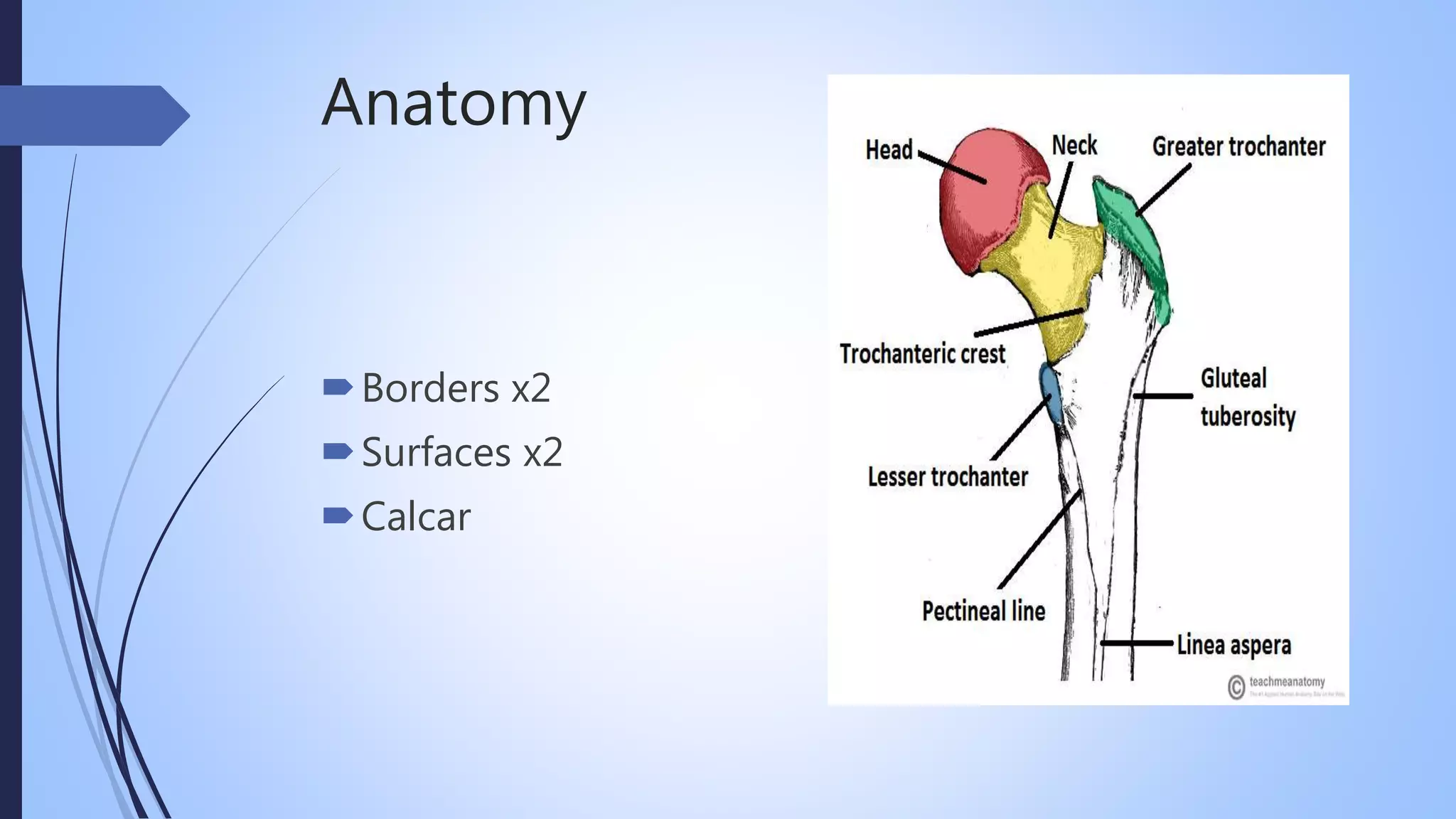 Intra capsular neck of femur fractures | PPTX