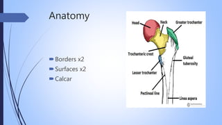 Intra capsular neck of femur fractures | PPTX