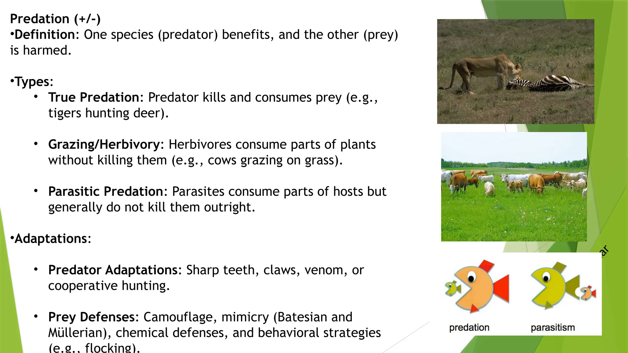 Intra-community (interspecific) interactions.pptx