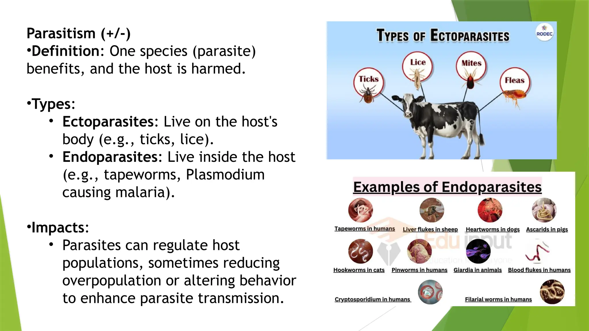 Intra-community (interspecific) interactions.pptx