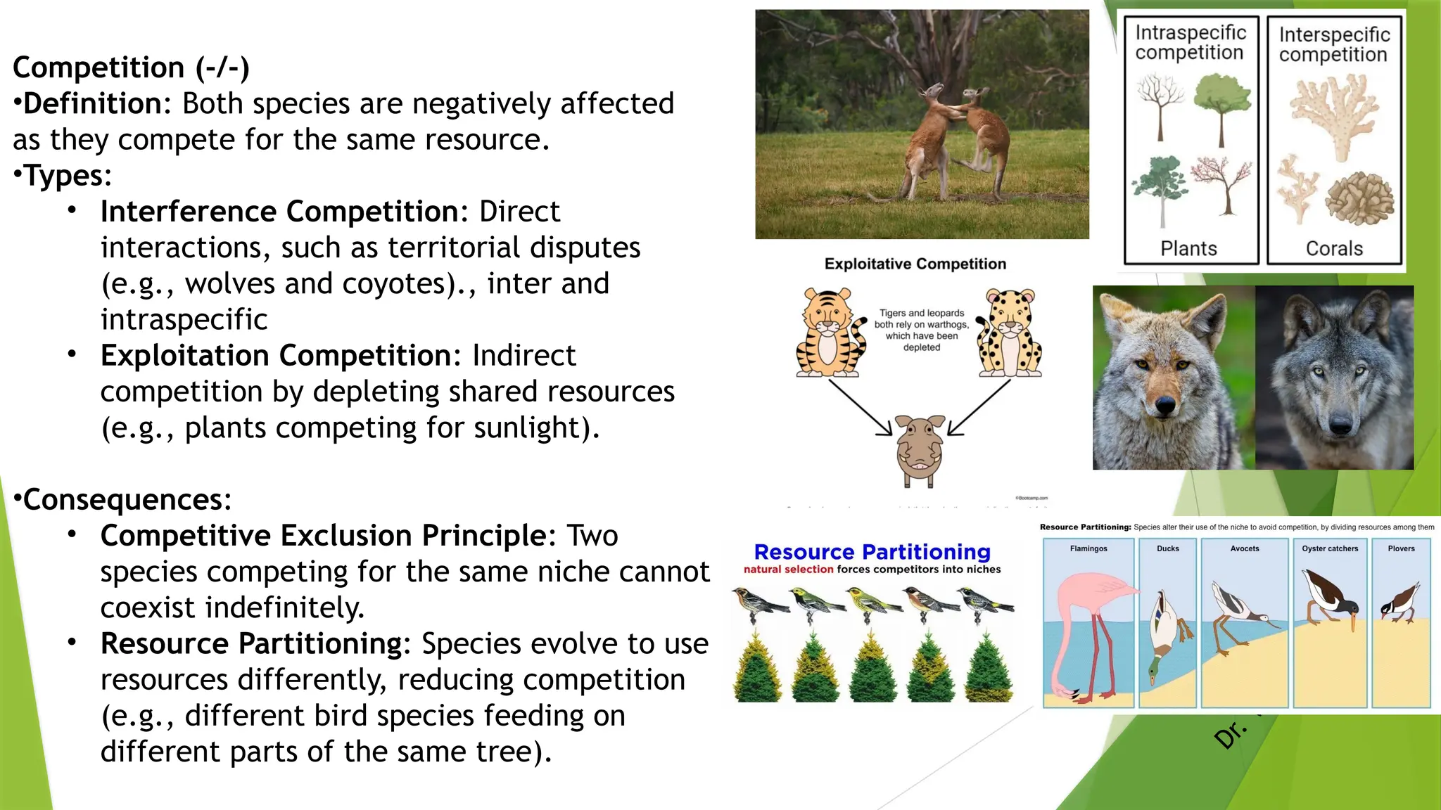 Intra-community (interspecific) interactions.pptx