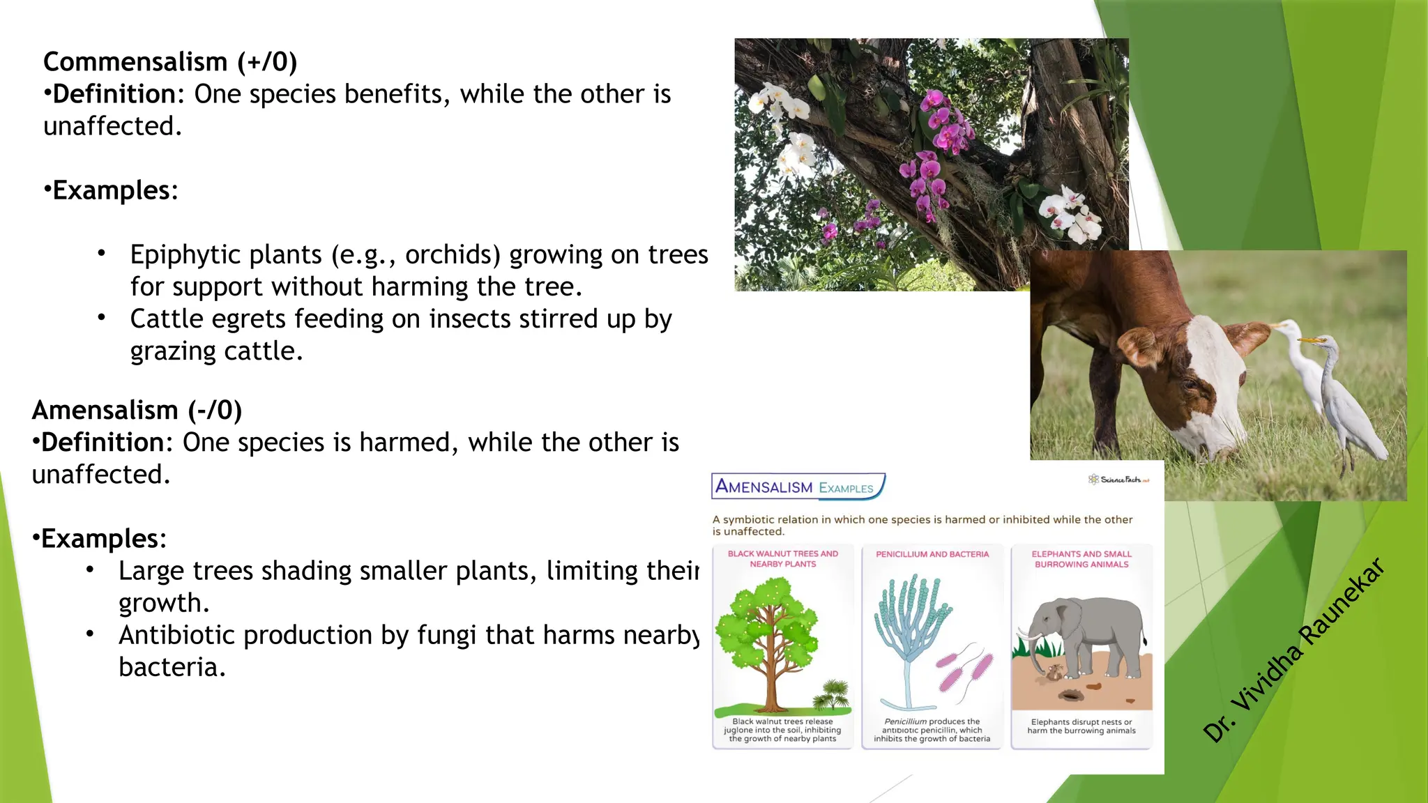 Intra-community (interspecific) interactions.pptx