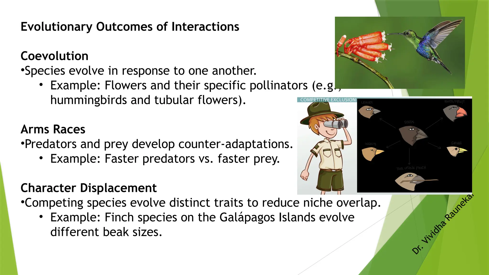 Intra-community (interspecific) interactions.pptx