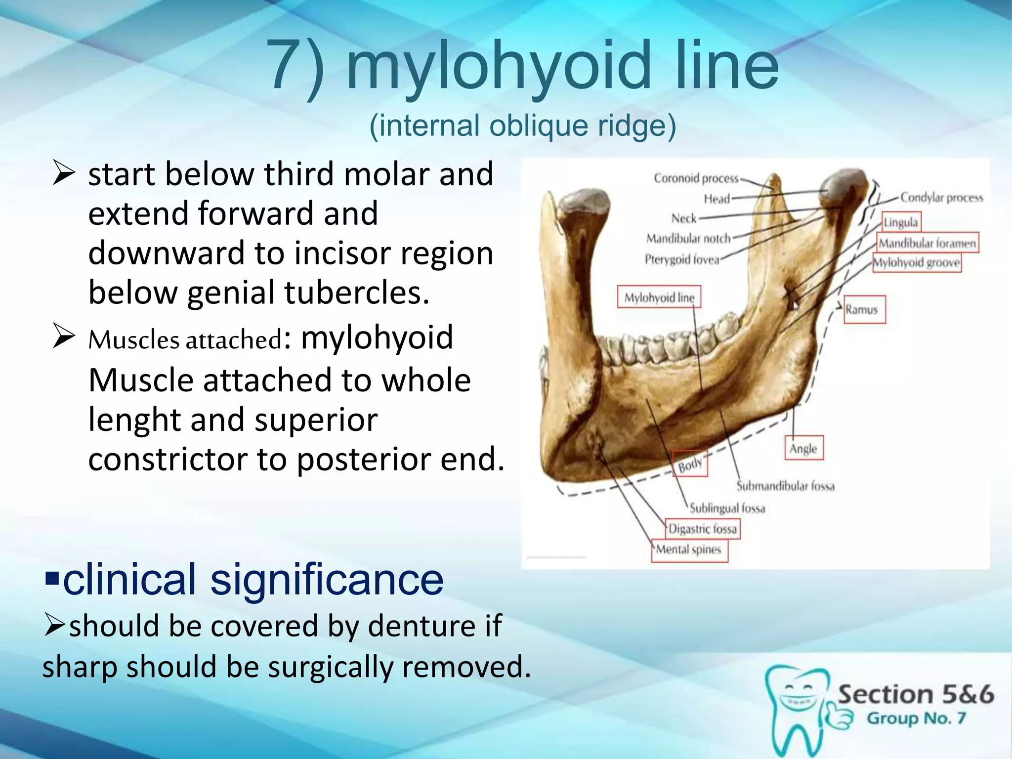 Intra oral mandibular landmarks | PPT