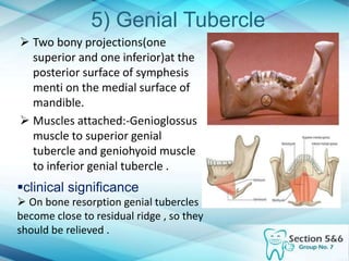 Intra oral mandibular landmarks | PPTX