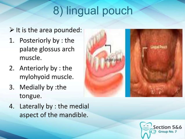 Intra oral mandibular landmarks | PPTX