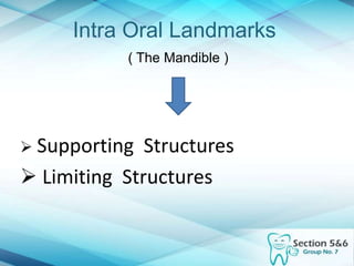 Intra oral mandibular landmarks | PPTX