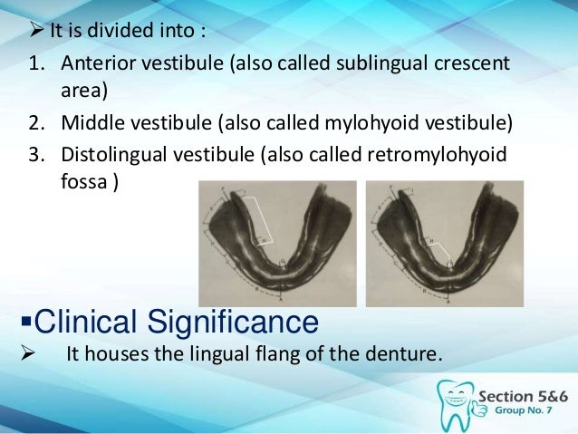 Intra oral mandibular landmarks