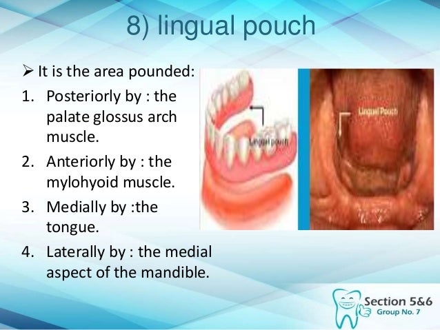 Intra oral mandibular landmarks
