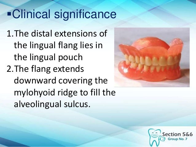 Intra oral mandibular landmarks