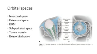 Intra-orbital tumors - Diagnosis & Management Part 1 | PPTX