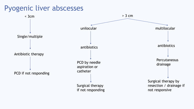 Intra abdominal abscess | PPTX | Digestive Disorders | Diseases and ...