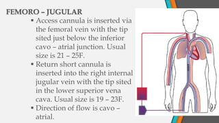 Intra aortic balloon pump and ECMO | PPTX