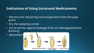 Intracanal medicaments and and root filling materials.pptx