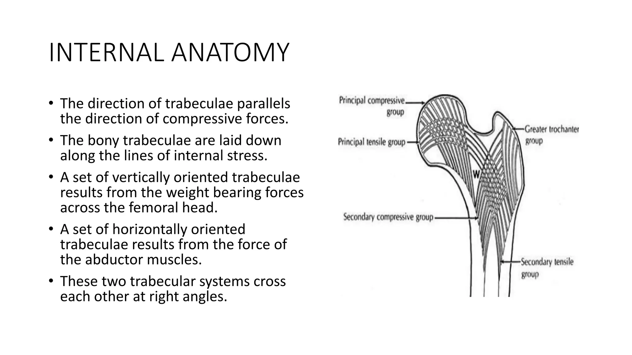 Intracapsular fracture neck of femur | PPTX