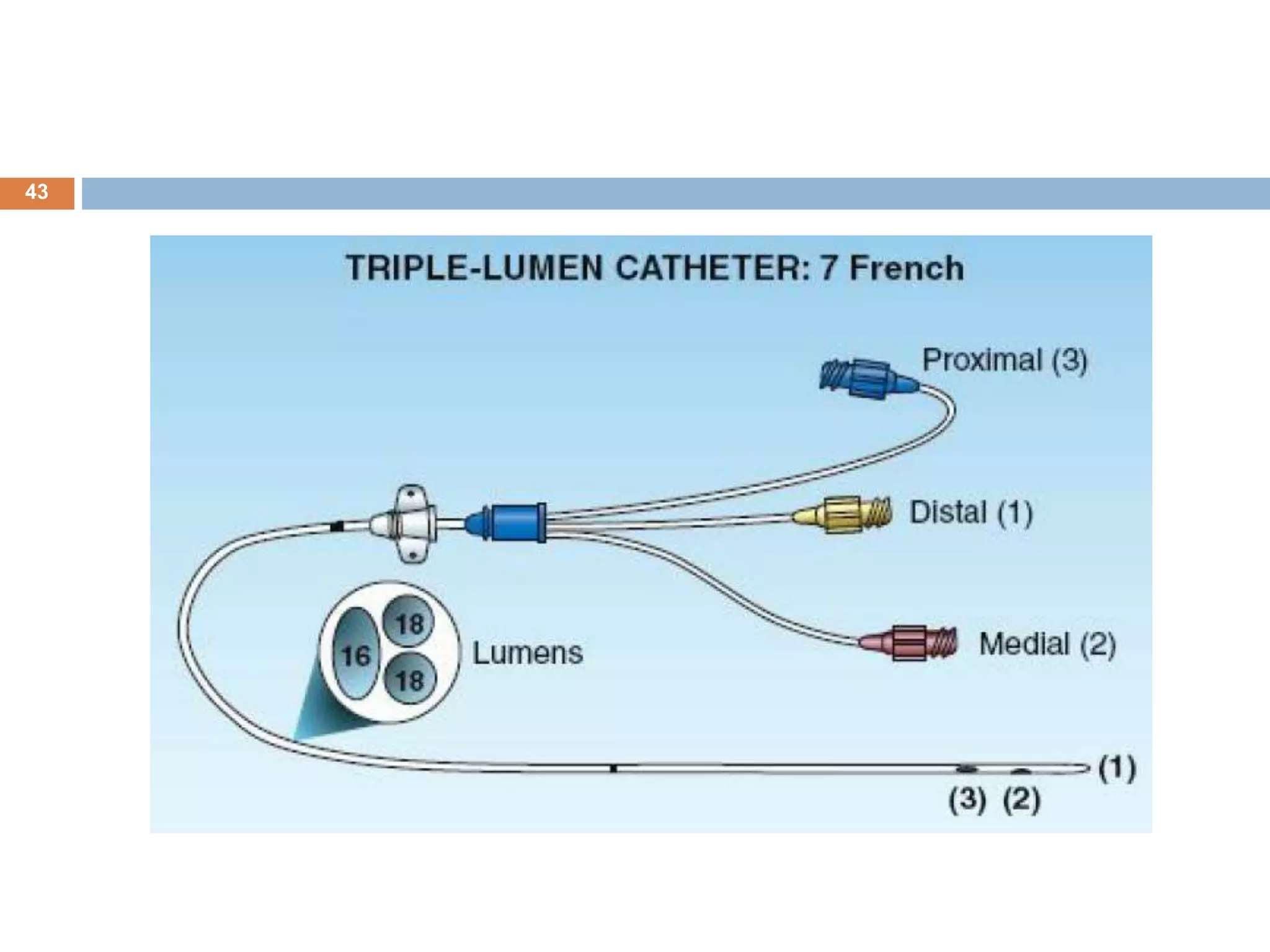 Intracatheters | PPTX
