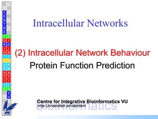 intracell-networks.ppt