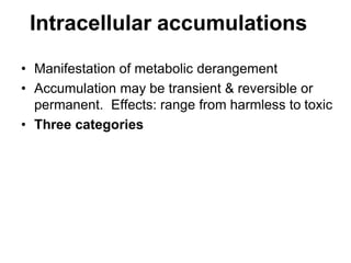 Intracell accumulation final | PPTX