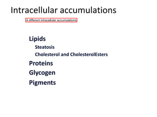 Intracell accumulation final | PPTX