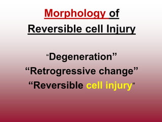 intracellular_accumulation.ppt