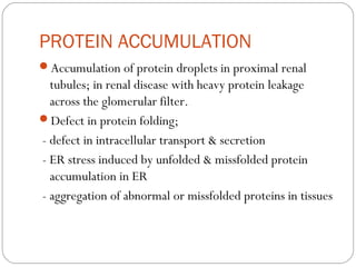 Intracellular accumulation of_lipid,_carbohydrate,_protein | PPT