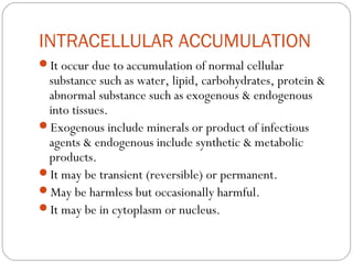 Intracellular accumulation of_lipid,_carbohydrate,_protein | PPT