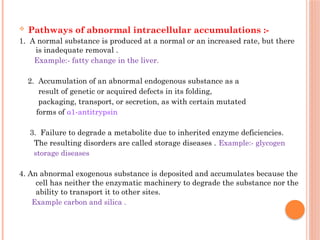 Intracellular Accumulations and pigment s.pptx