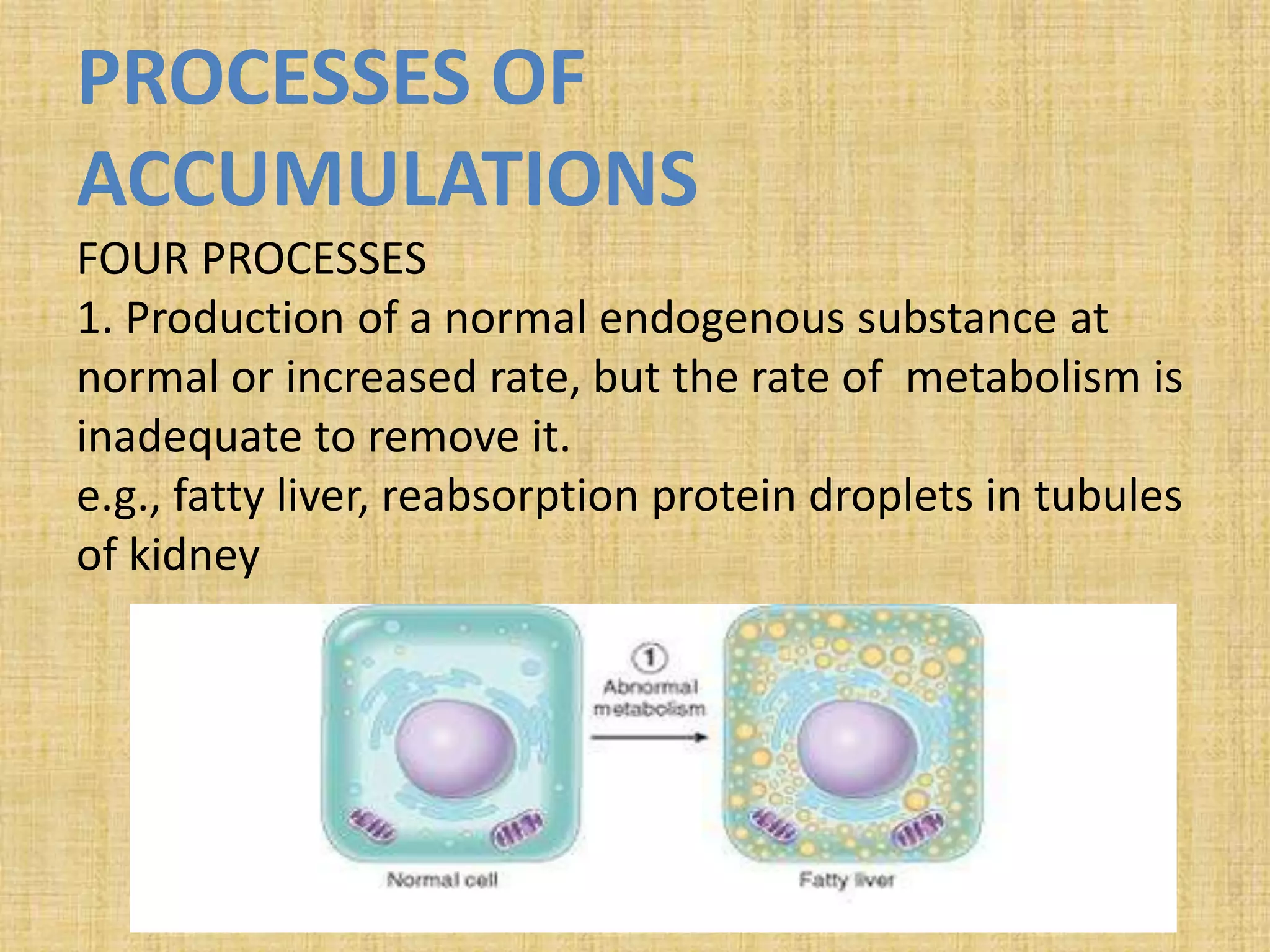 Intracellular accumulations ppt by dr usman nasir | PPTX