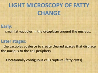 Intracellular accumulations ppt by dr usman nasir | PPTX