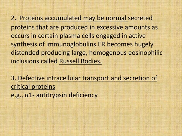 Intracellular accumulations ppt by dr usman nasir | PPTX | Endocrine ...