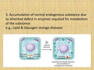 Intracellular accumulations ppt by dr usman nasir | PPTX